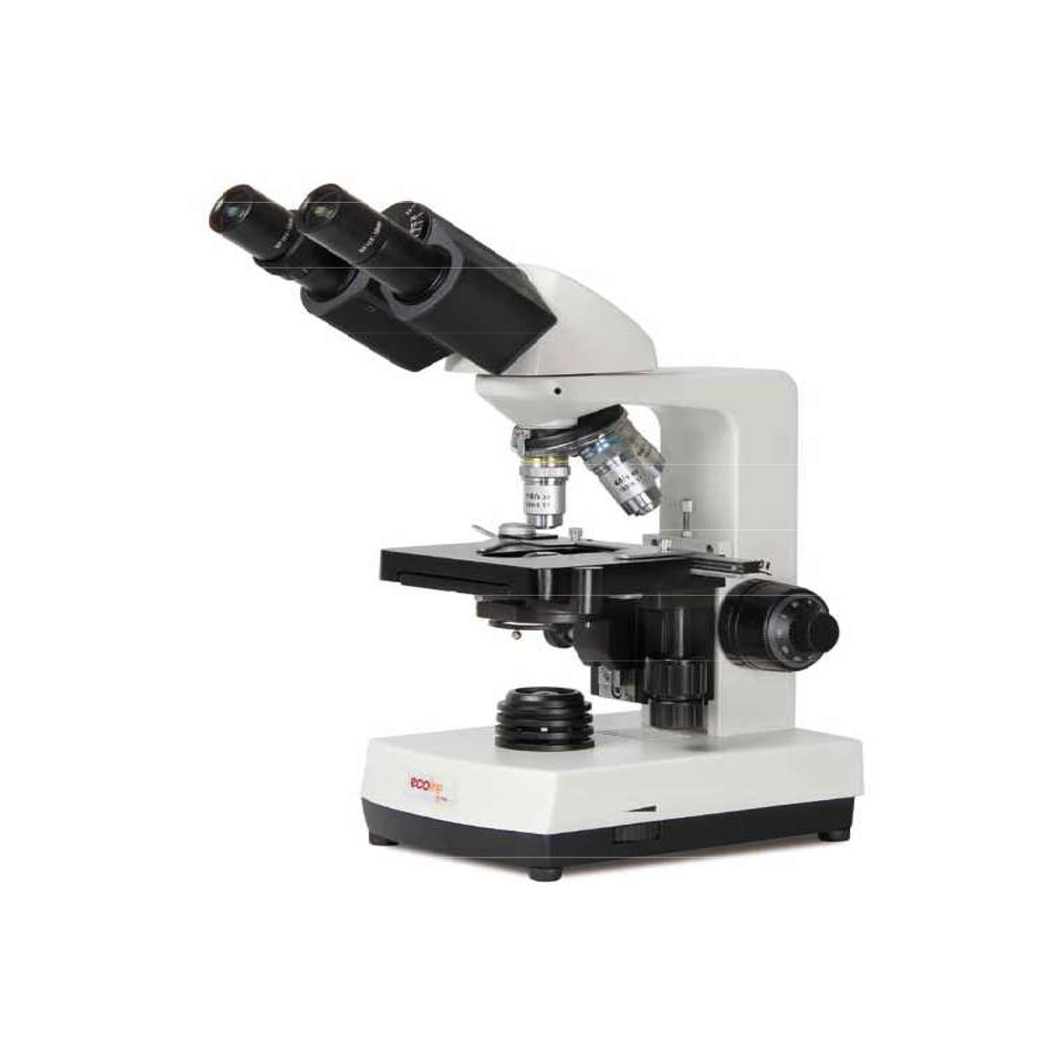Binocular Microscope – Chembio Corporation