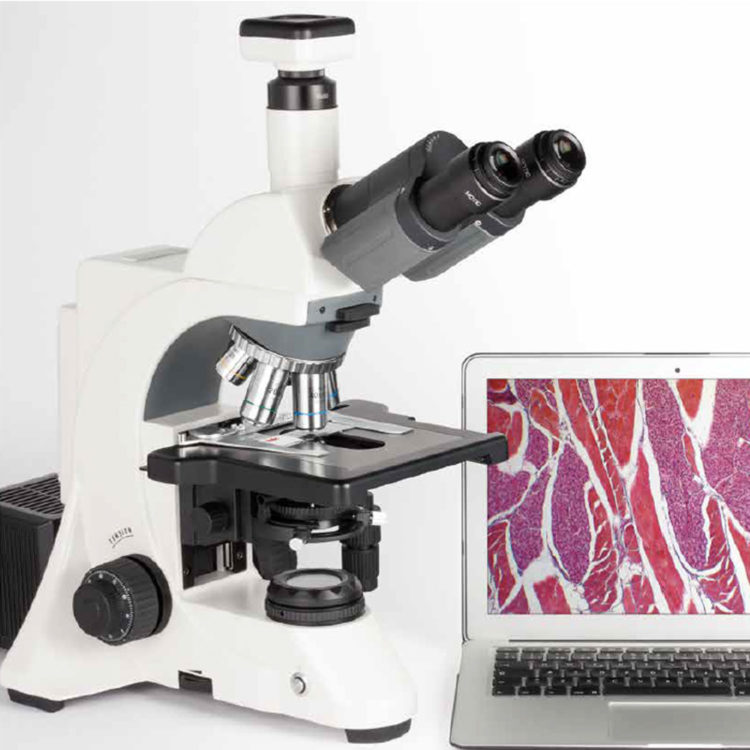 Research Microscope – Chembio Corporation
